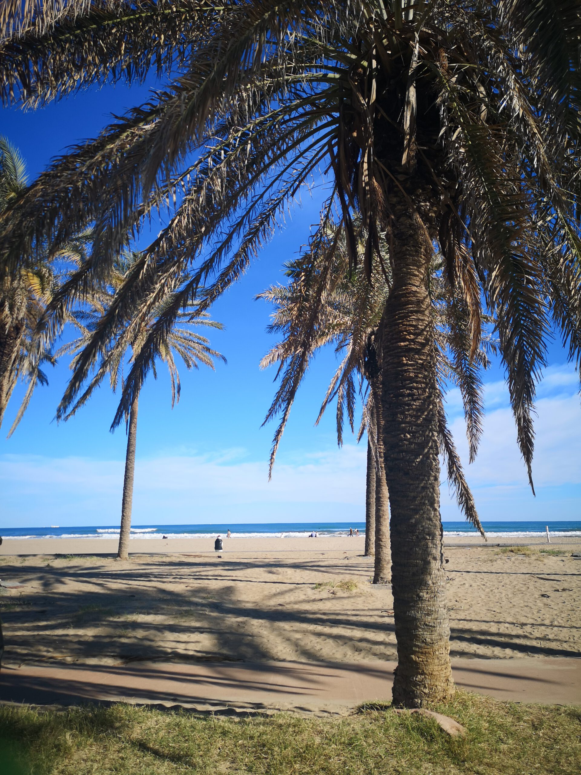 Discover El Cabanyal: the impressive beach district of Valencia - 1000 ...